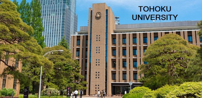 TOHOKU UNIVERSITY